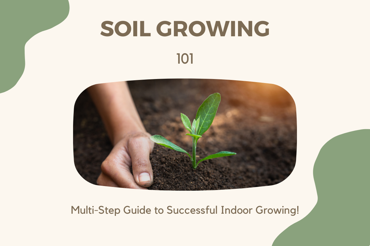 Indoor Soil Growing 101